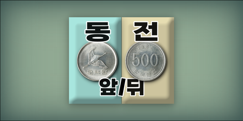 동전 앞뒤
